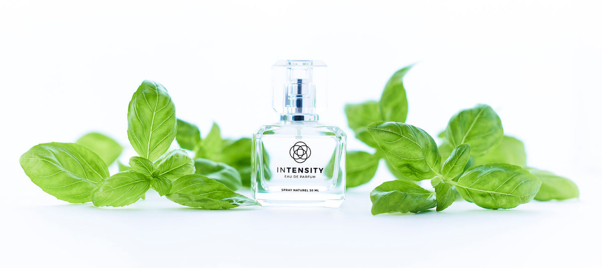 INTENSITY - Green & Spicy Collection - (Nr.63) - (vroeger In Fine ...